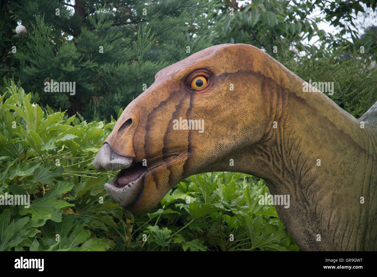 Dinosaur Zoo High Resolution Stock Photography and Images - Alamy