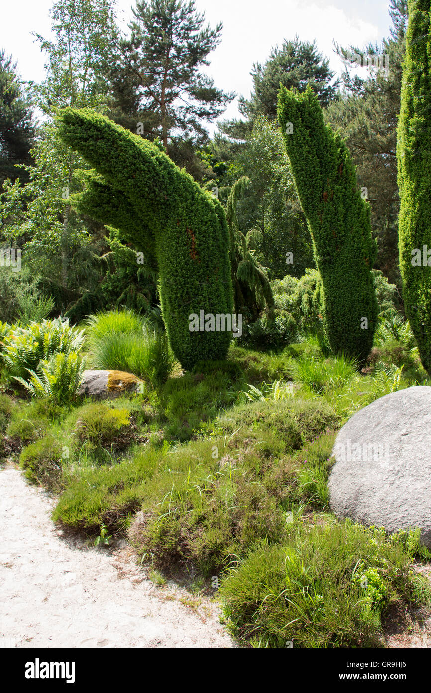 Heather stein hi-res stock photography and images - Alamy