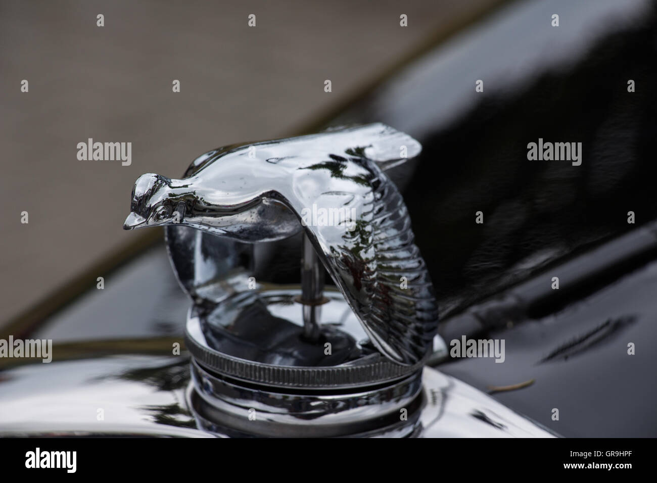 Phaeton body hi-res stock photography and images - Alamy