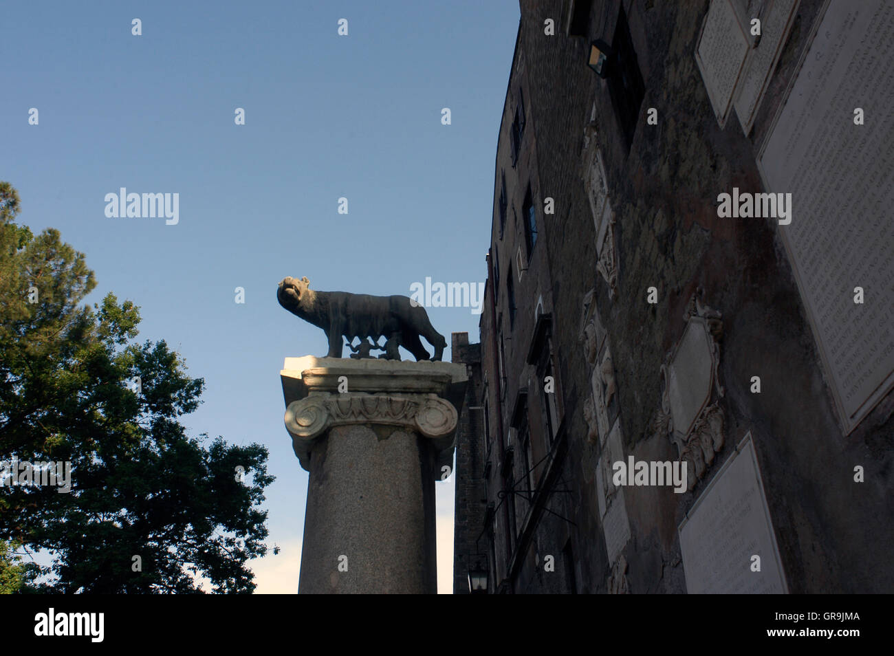 The Capitoline Hill, the she-wolf and the twin brothers Romulus and ...