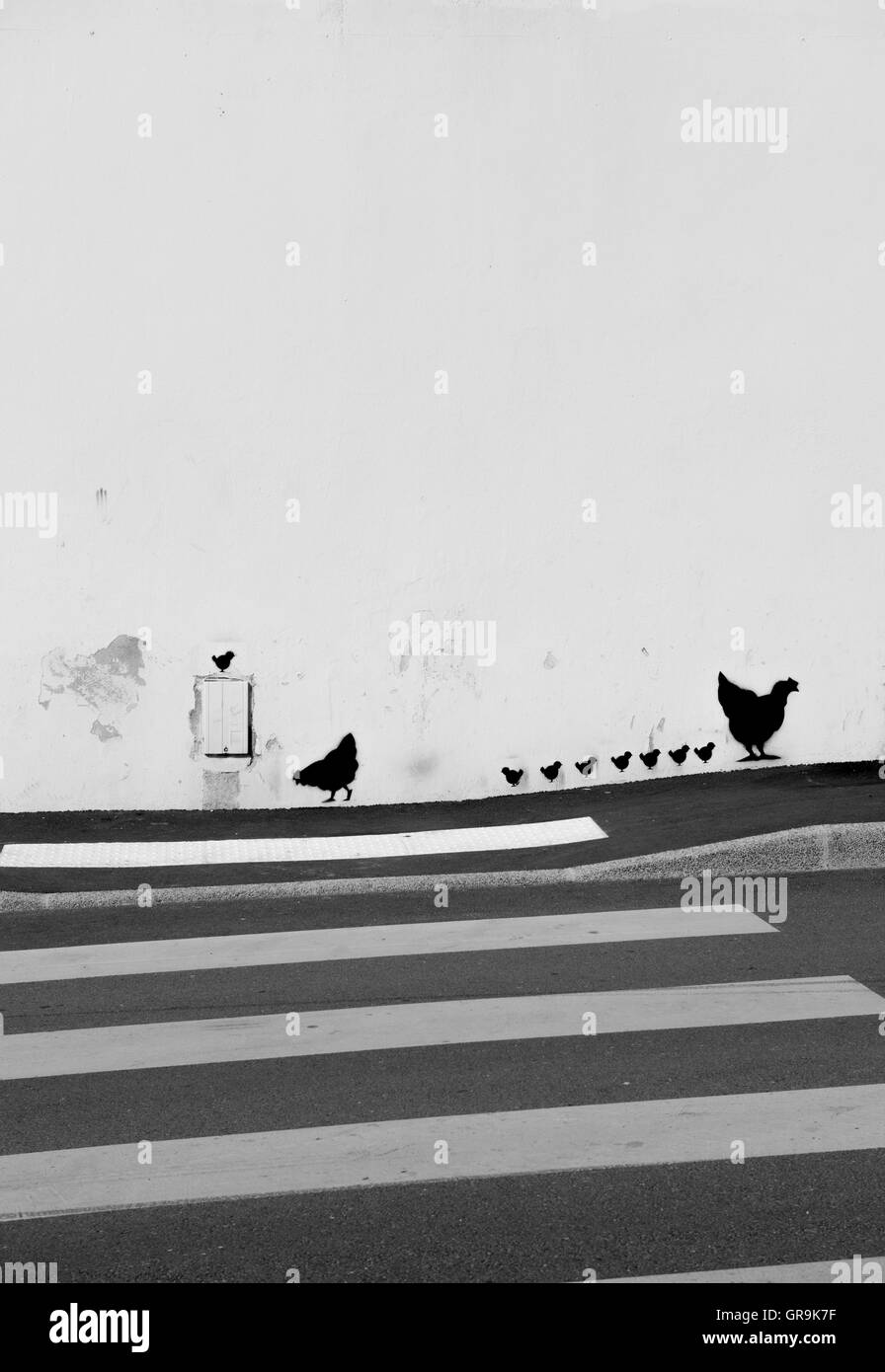 Graffiti chicken graffiti hi-res stock photography and images - Alamy