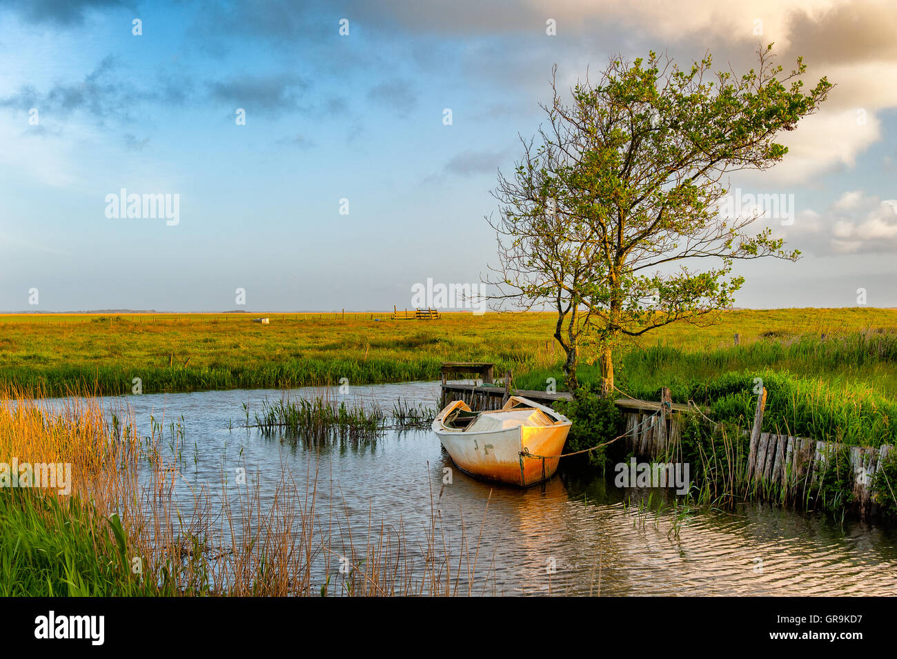 Marshland With River And Boat, North Sea Stock Photo - Alamy