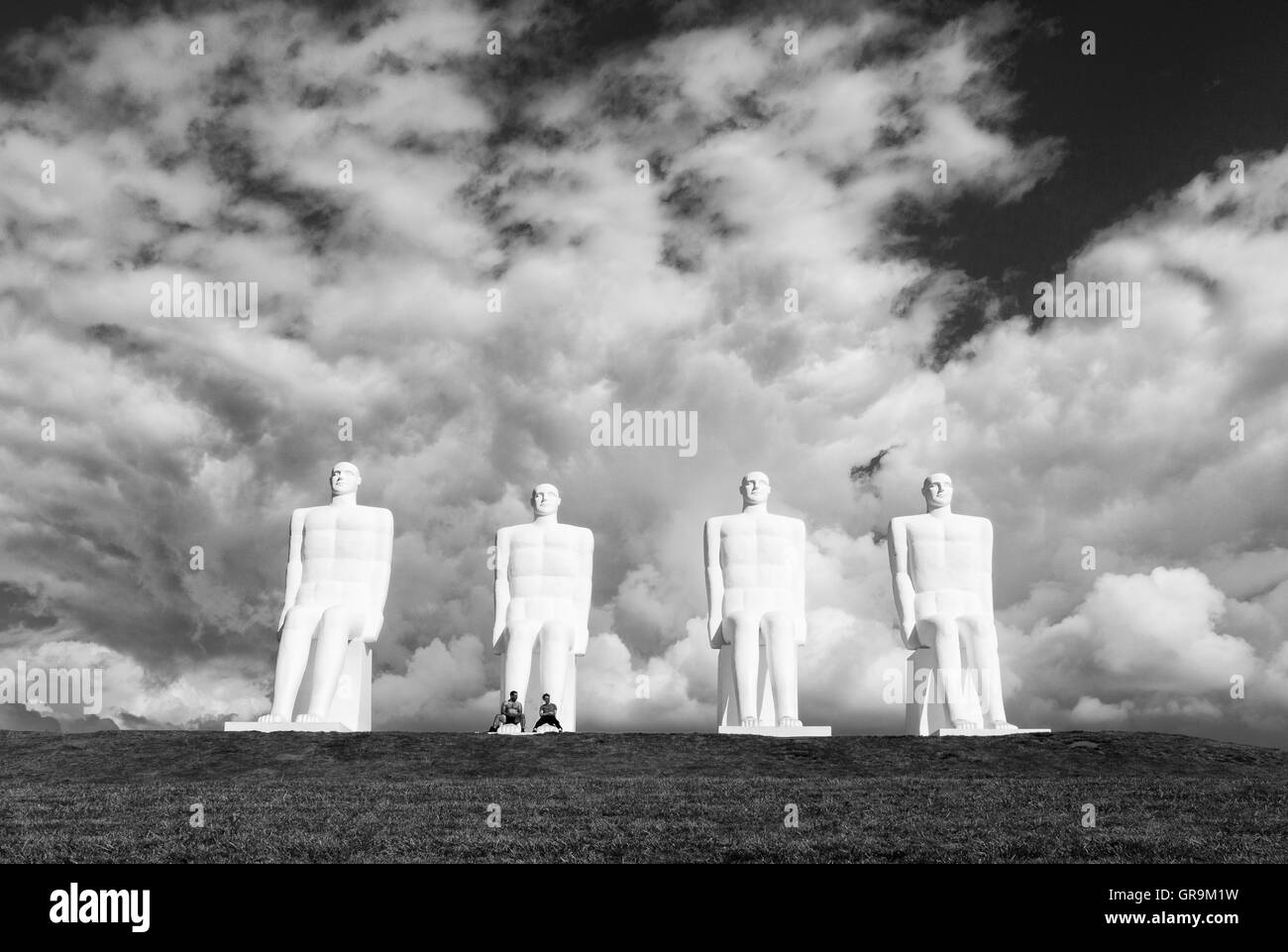 Sea things Black and White Stock Photos & Images - Alamy