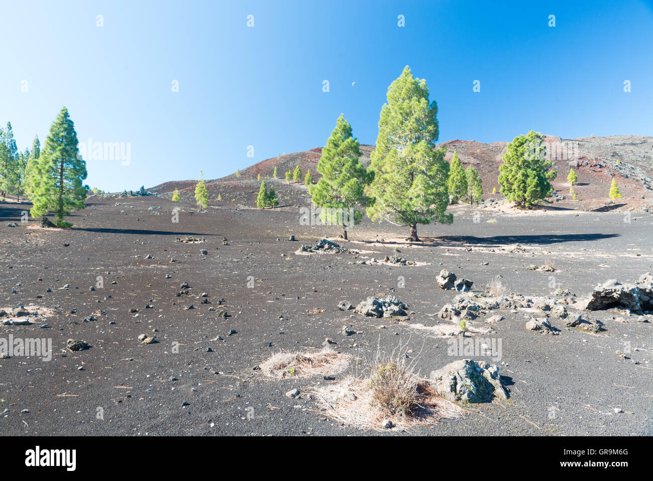 Volcano Chinyero Protected Landscape Tenerife Spain Stock Photo - Alamy