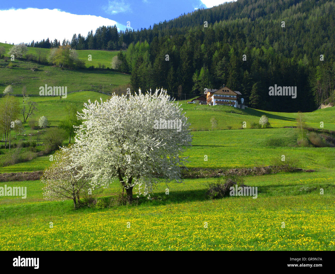 Pustertal hi-res stock photography and images - Alamy