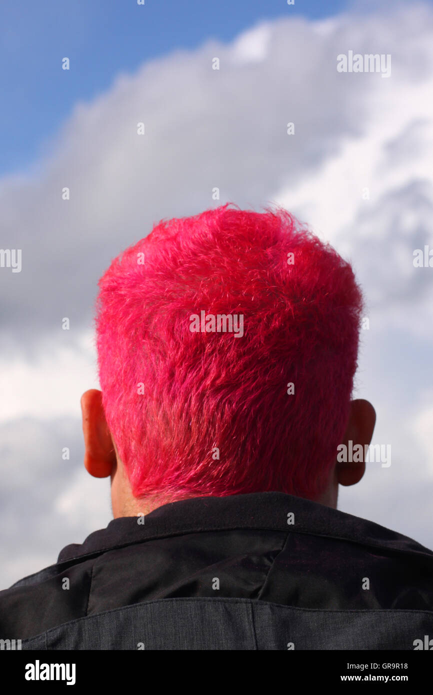 Human hairs hi-res stock photography and images - Alamy