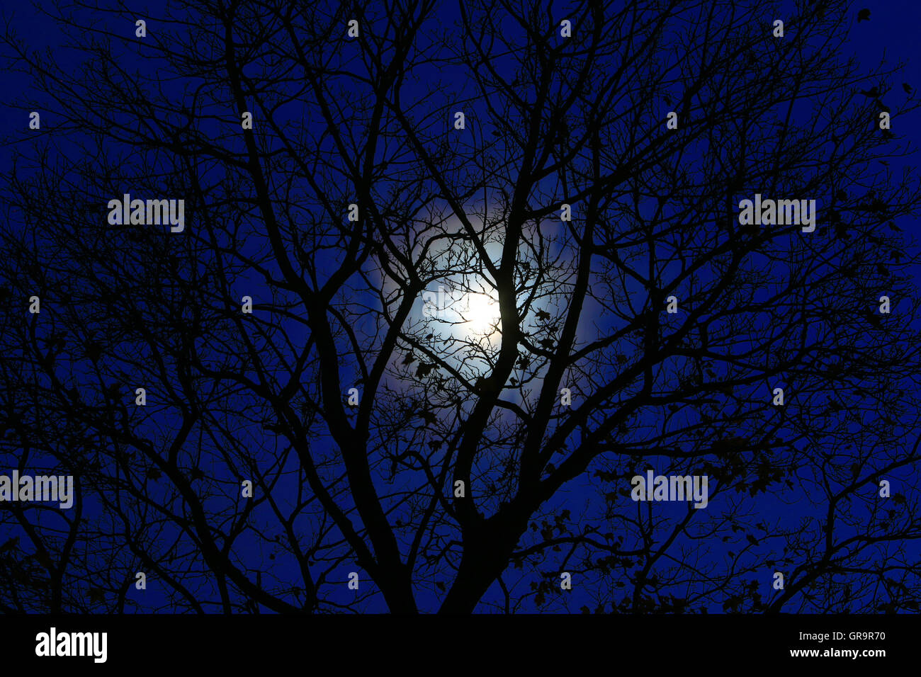 Shot by moonlight hi-res stock photography and images - Alamy