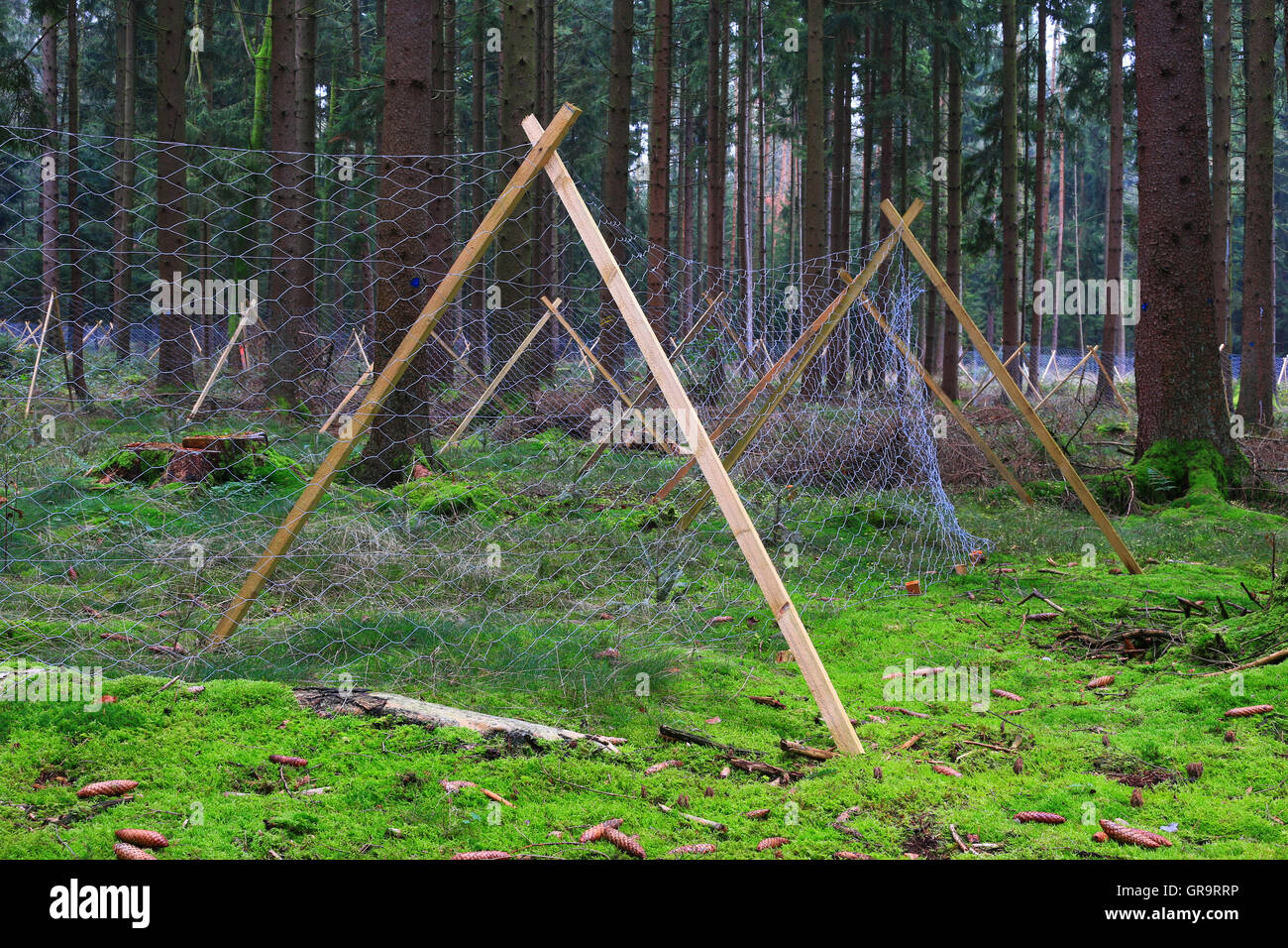 Game fence reserve hi-res stock photography and images - Alamy