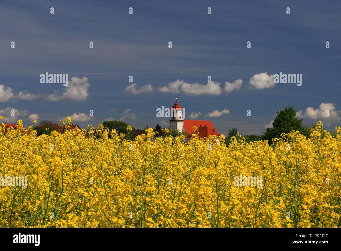 Ellenberg hi-res stock photography and images - Alamy