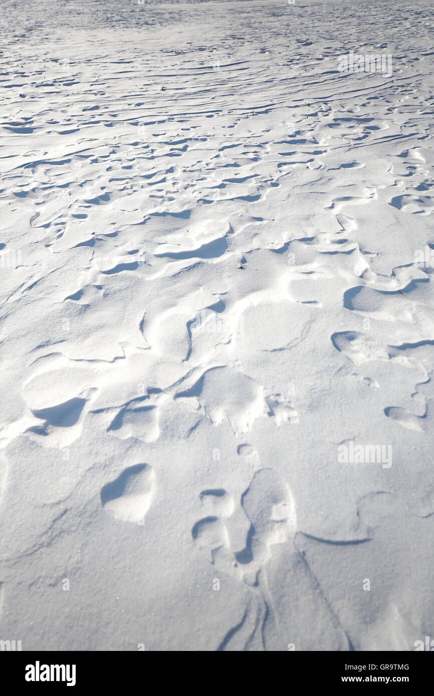Frost erosion detail snow hi-res stock photography and images - Alamy