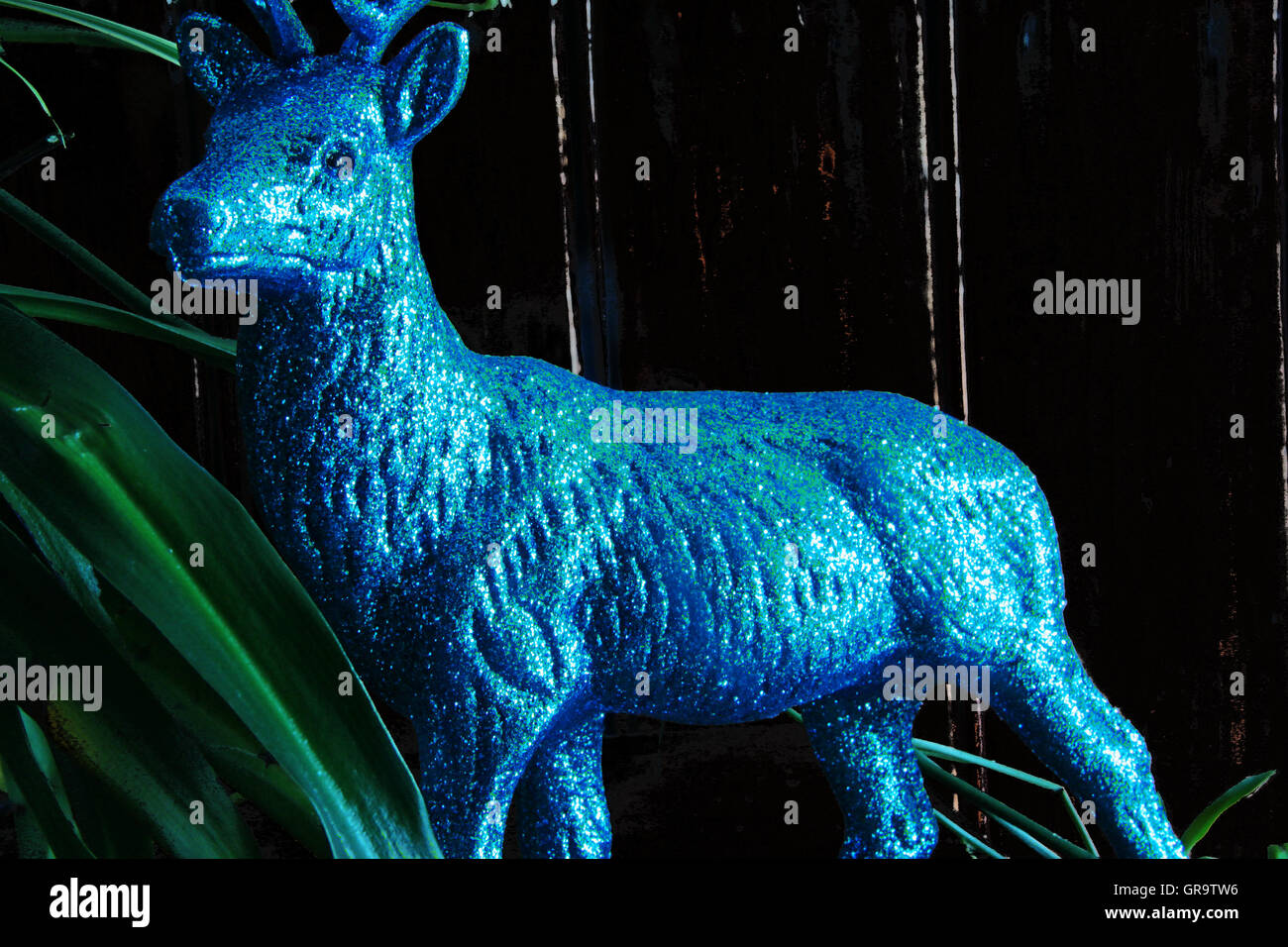 Plastic blue long hi-res stock photography and images - Alamy