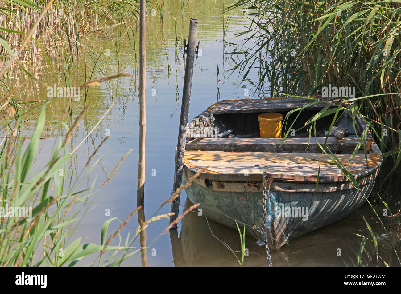 Boat In The Reeds Stock Photo - Alamy
