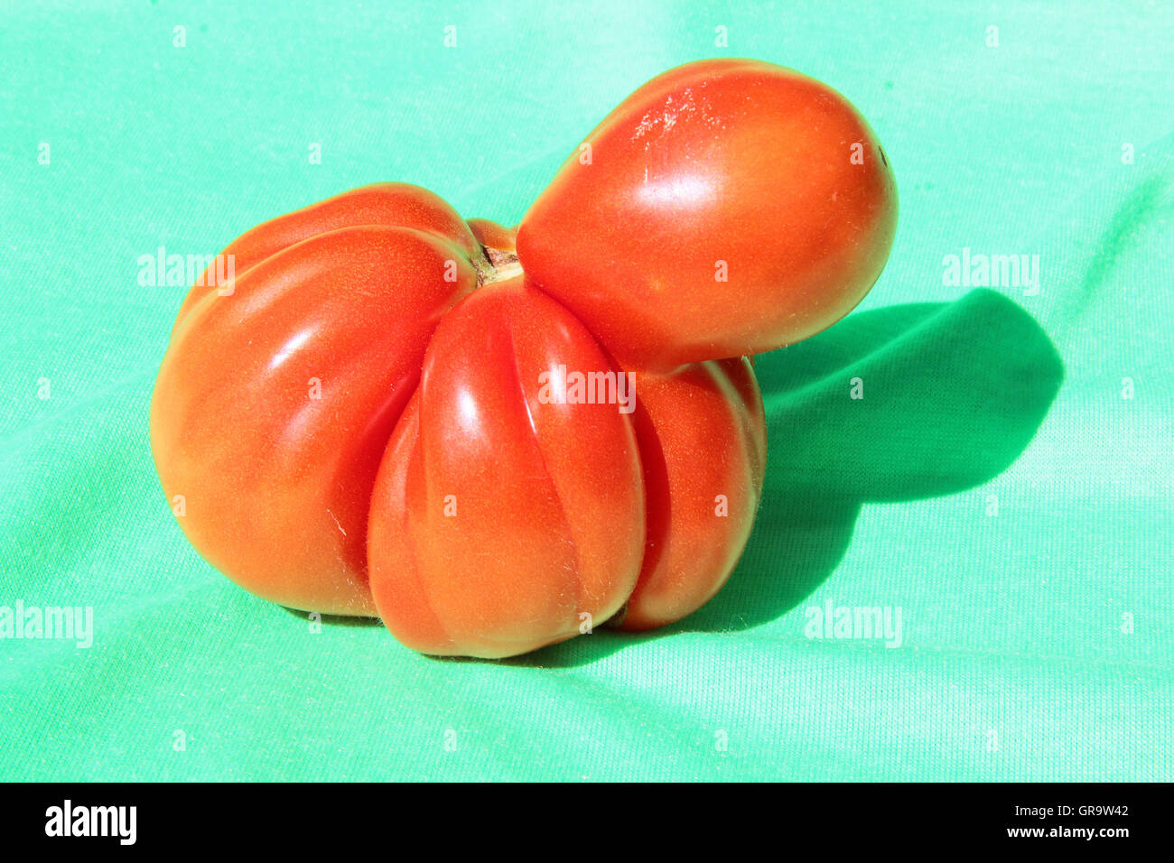Tomato colours hi-res stock photography and images - Alamy