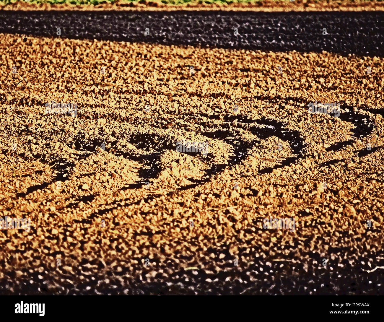 Agricultural forms hi-res stock photography and images - Alamy