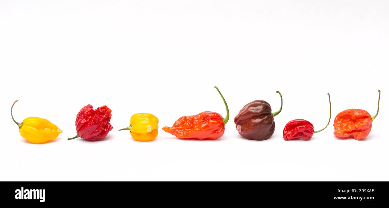Hot Chillies on a white background Stock Photo - Alamy