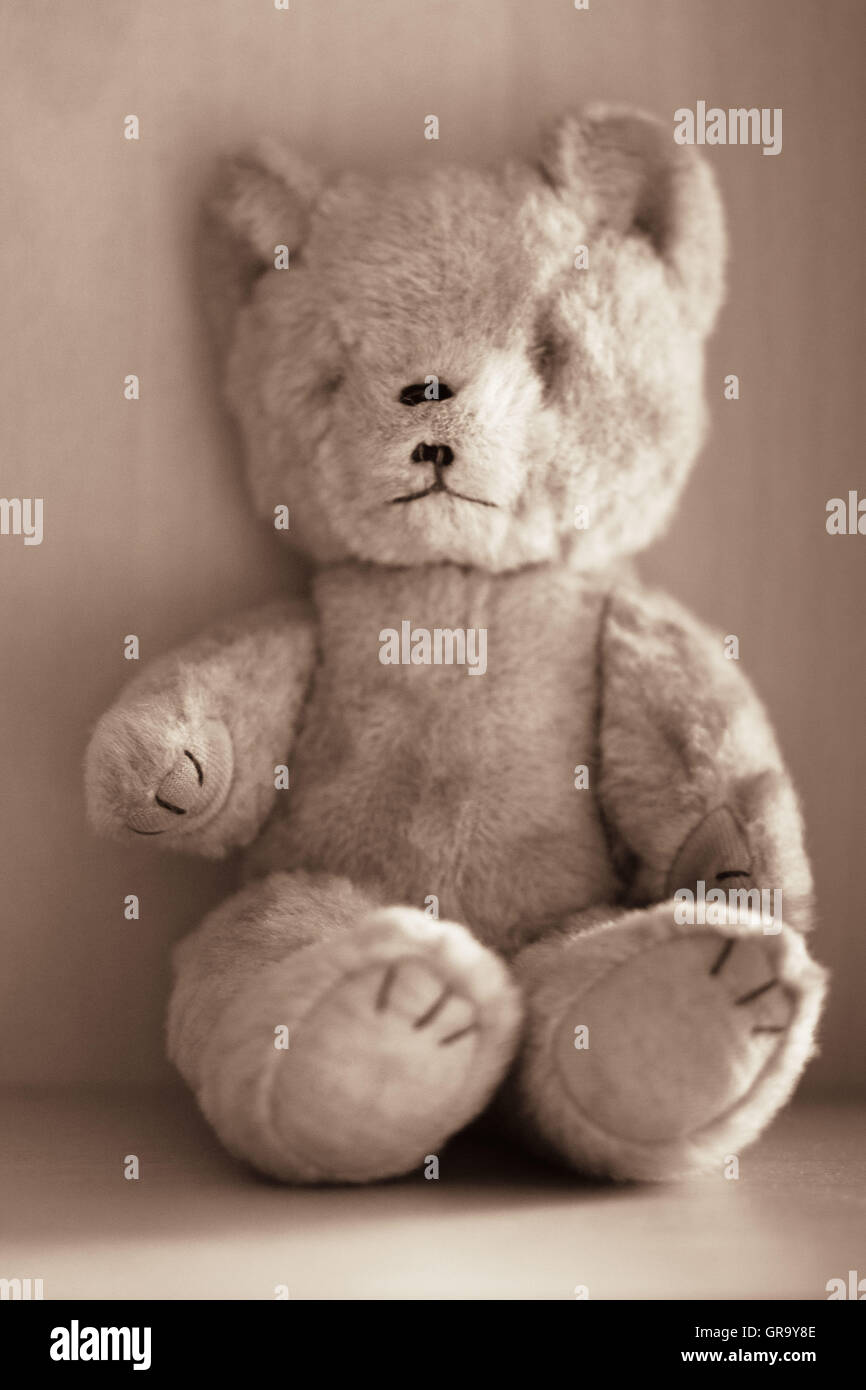 Poor teddy hi-res stock photography and images - Alamy