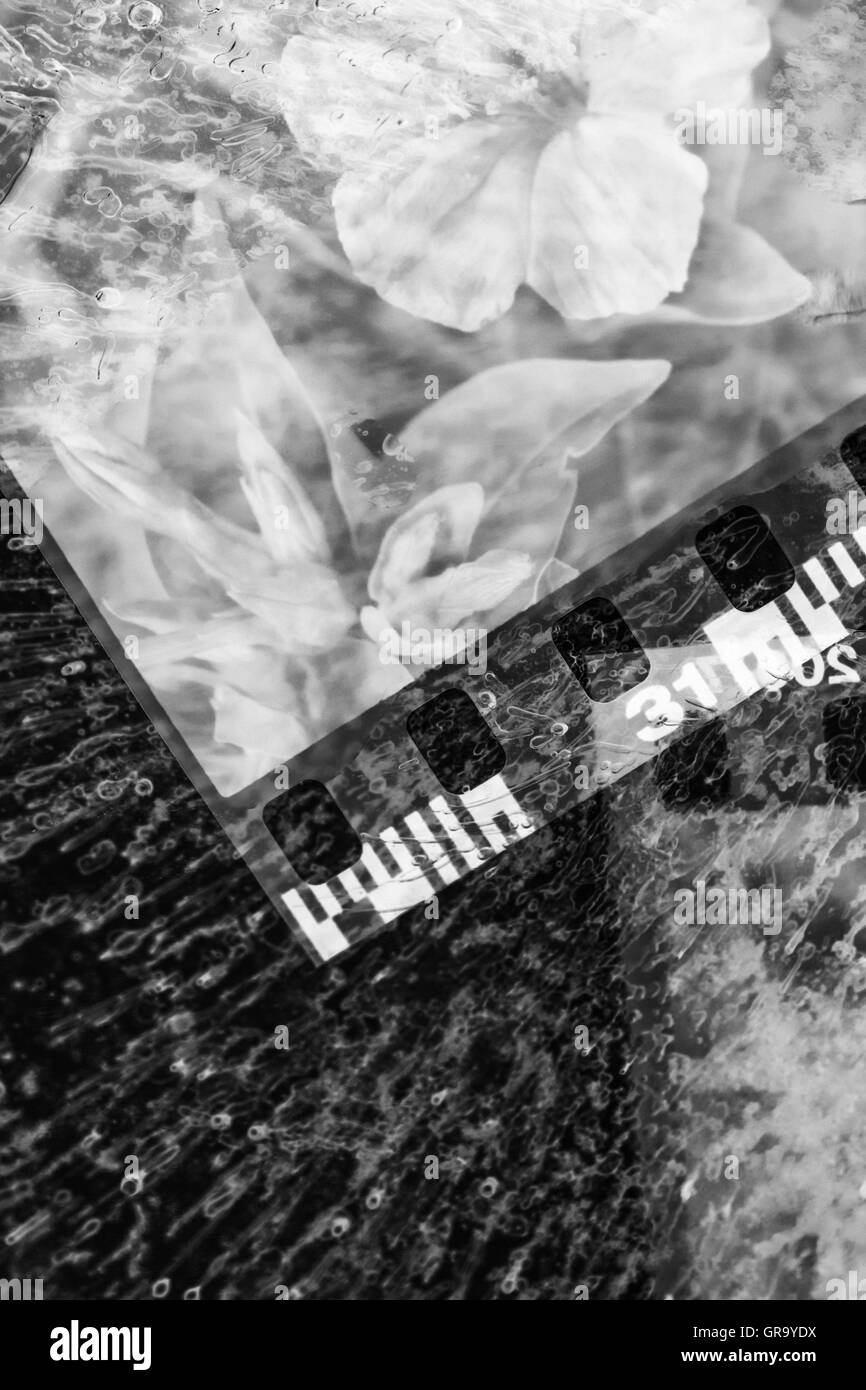 Film conversation Black and White Stock Photos & Images - Alamy