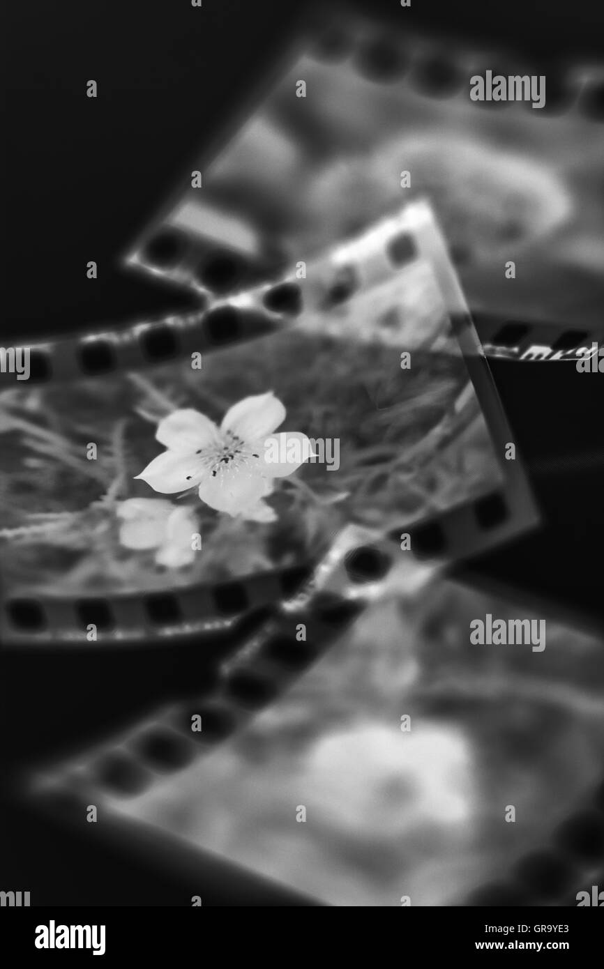 Film conversation Black and White Stock Photos & Images - Alamy