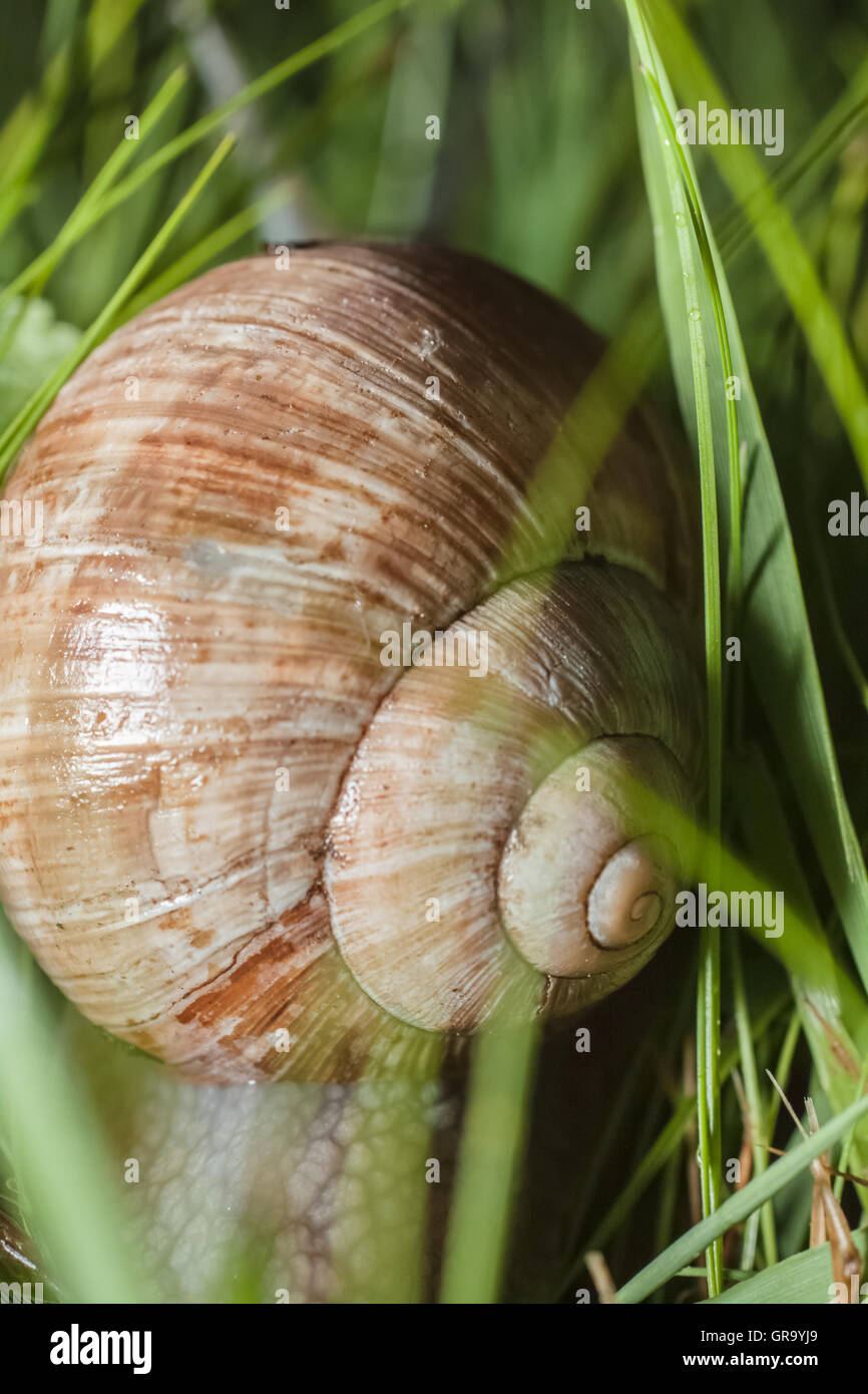 Helix shapes hi-res stock photography and images - Alamy