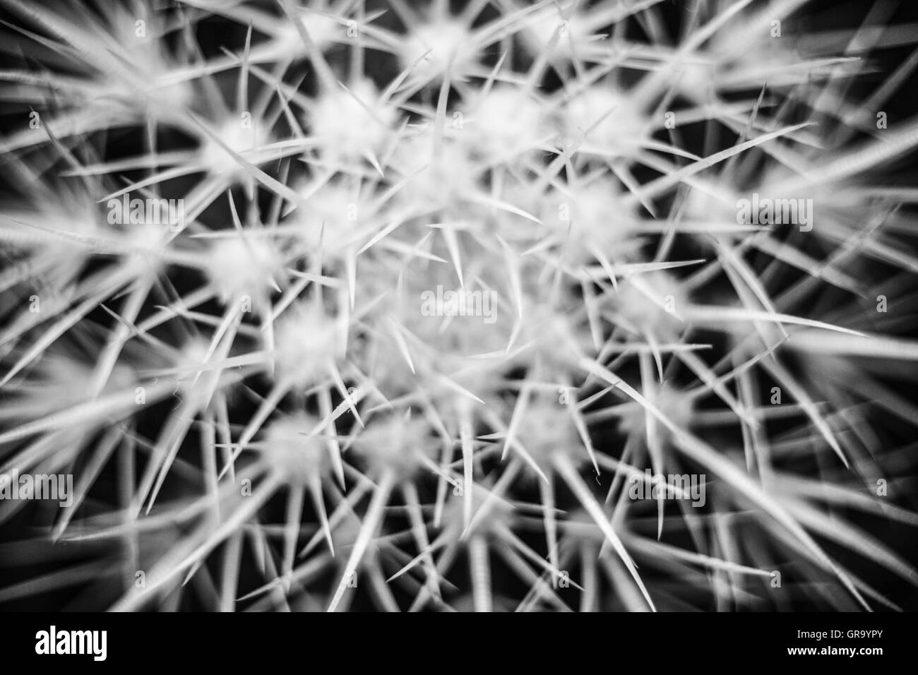 Plan view hi-res stock photography and images - Alamy