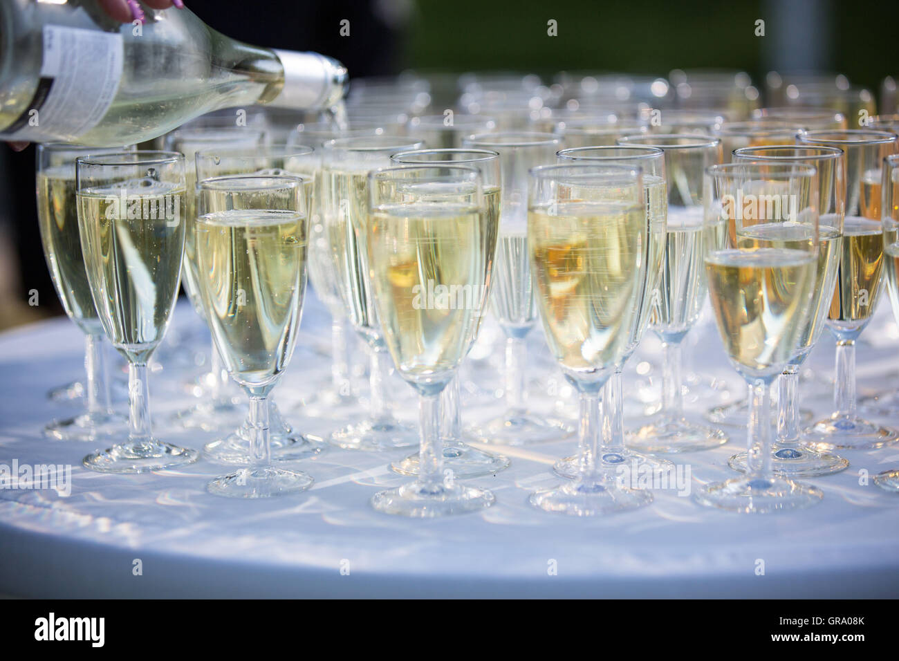 Glasses With Champagne Are Filled Stock Photo - Alamy Glasses With Champagne Are Filled Stock Photo - Alamy