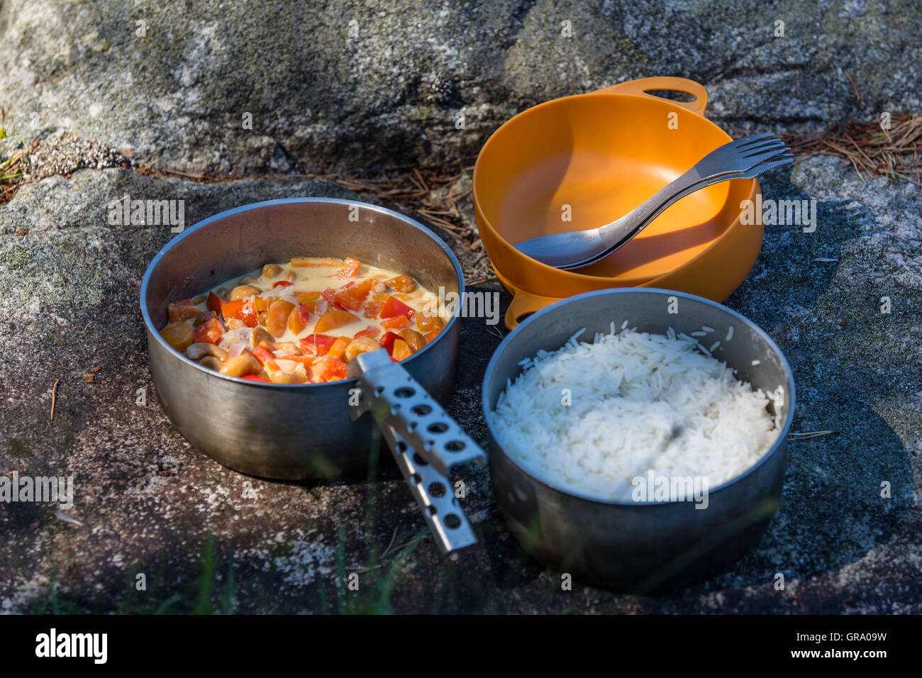Two Aluminium Pots And A Plate With Rice And Vegetables Outdoors Stock ...