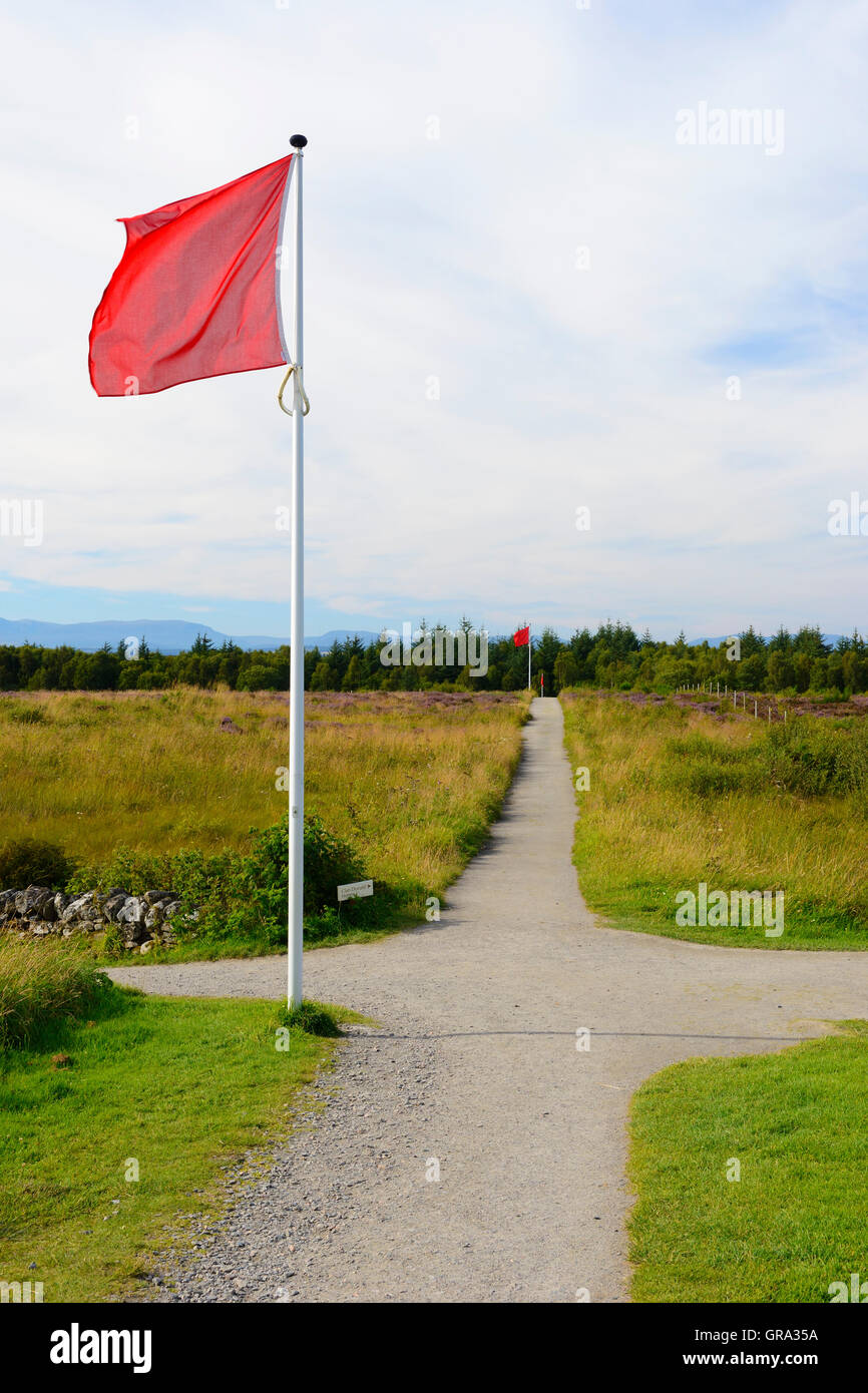 Line of flags indicating front line of Government army on Culloden Moor ...