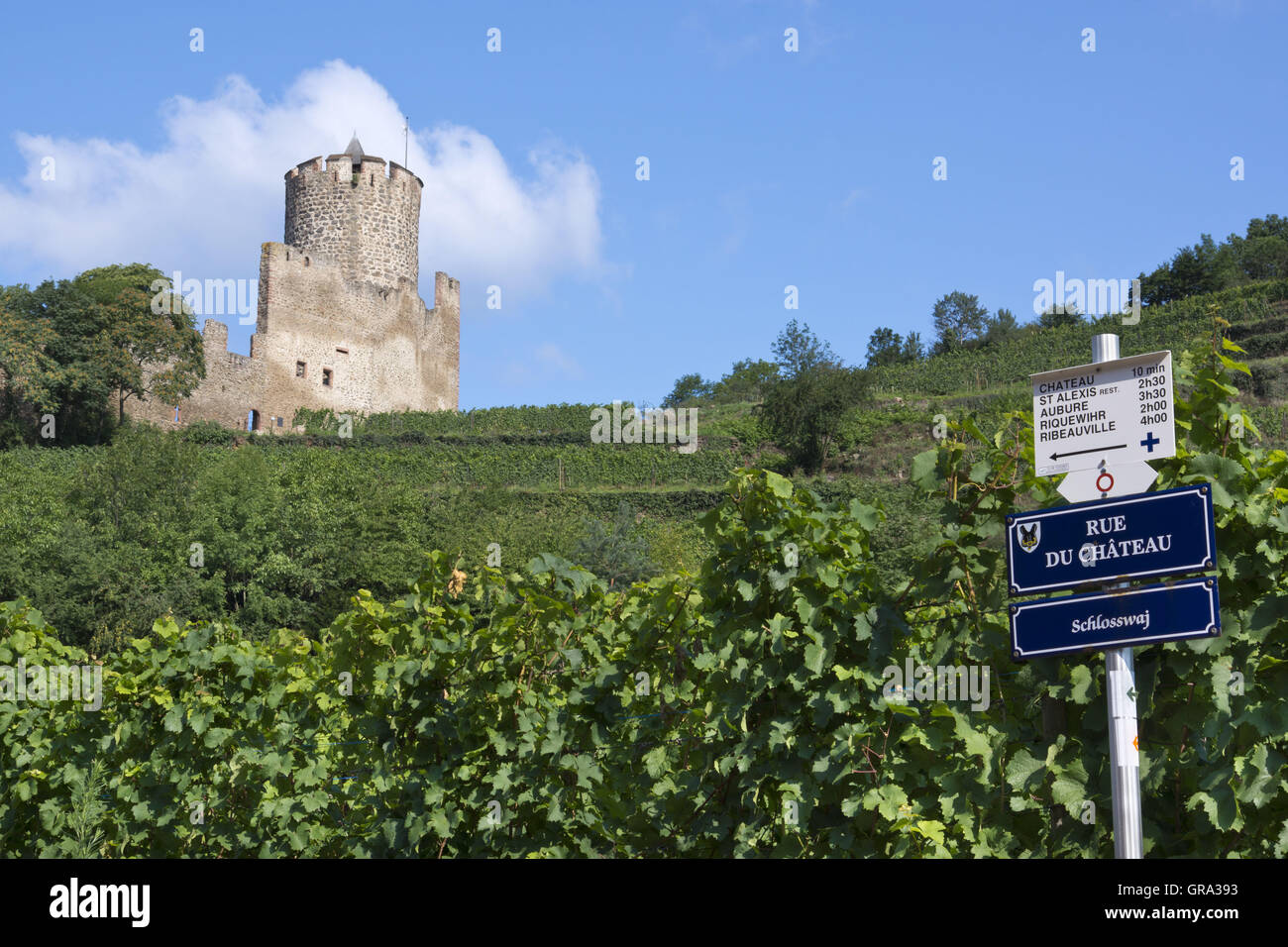 Kaysersberg ruin tower hi-res stock photography and images - Alamy