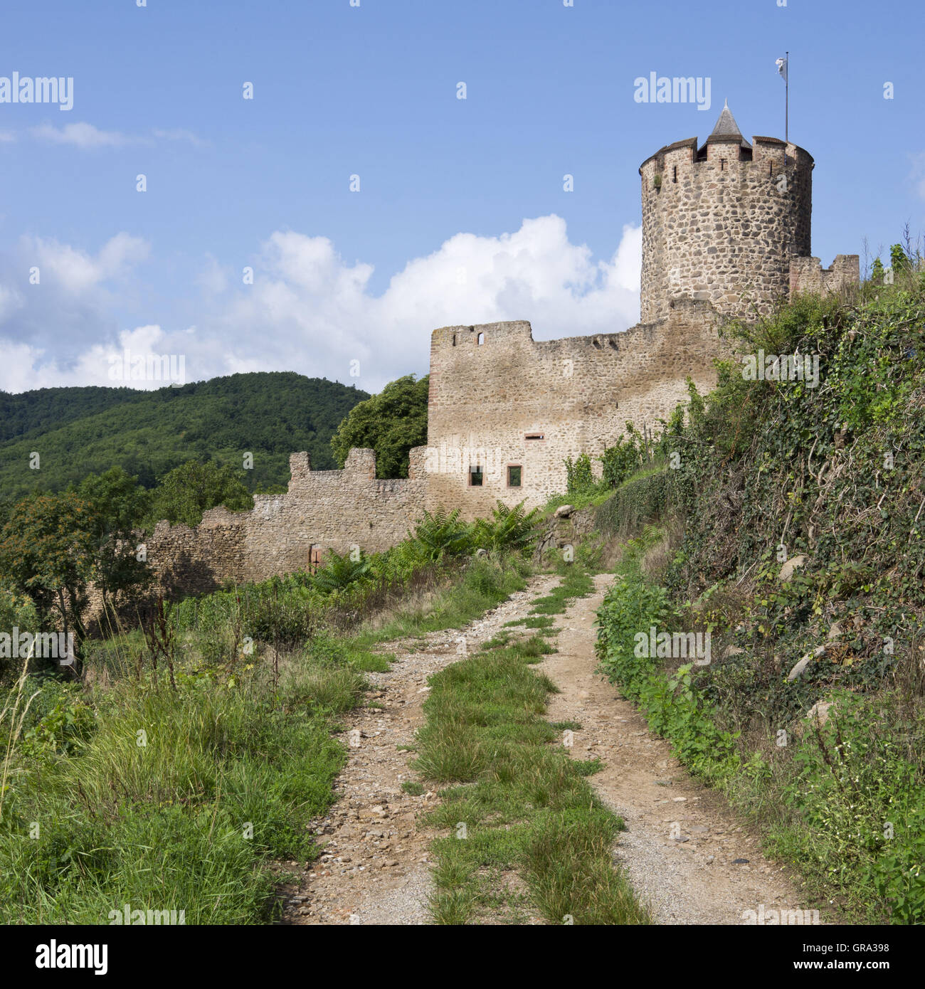 Kaysersberg ruin tower hi-res stock photography and images - Alamy