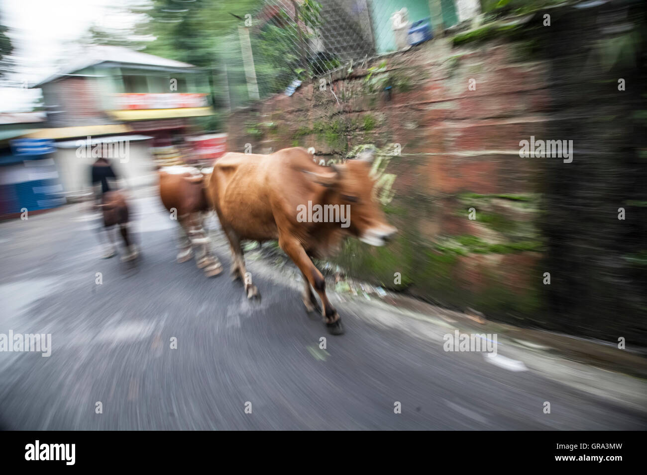 Culture of inida hi-res stock photography and images - Alamy