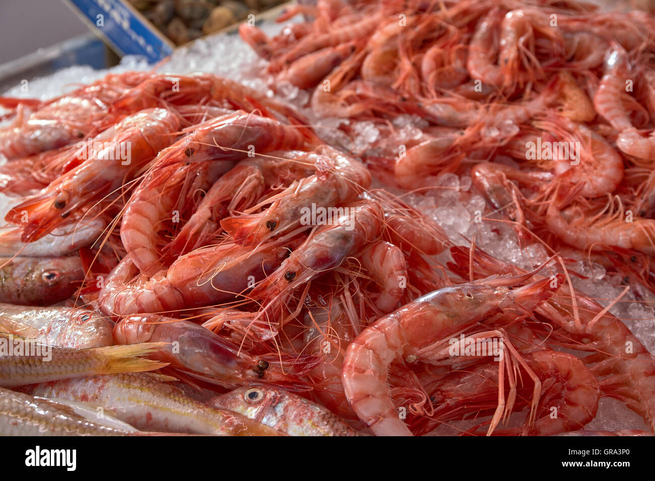 Ciutadella fish market menorca hi-res stock photography and images - Alamy