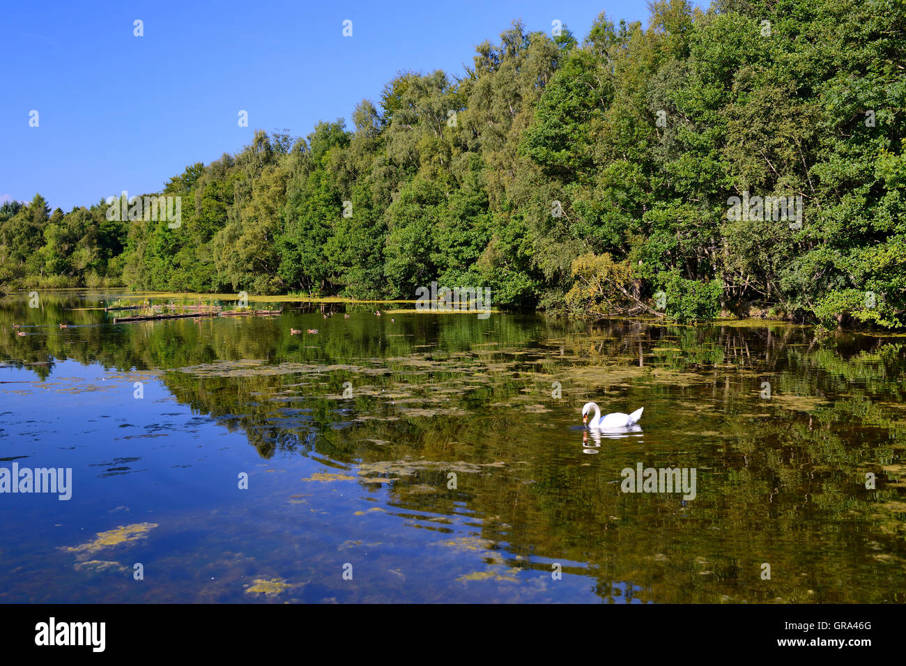 Moray estate hi-res stock photography and images - Alamy