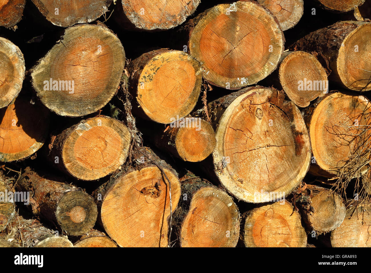 Woody materials hi-res stock photography and images - Alamy