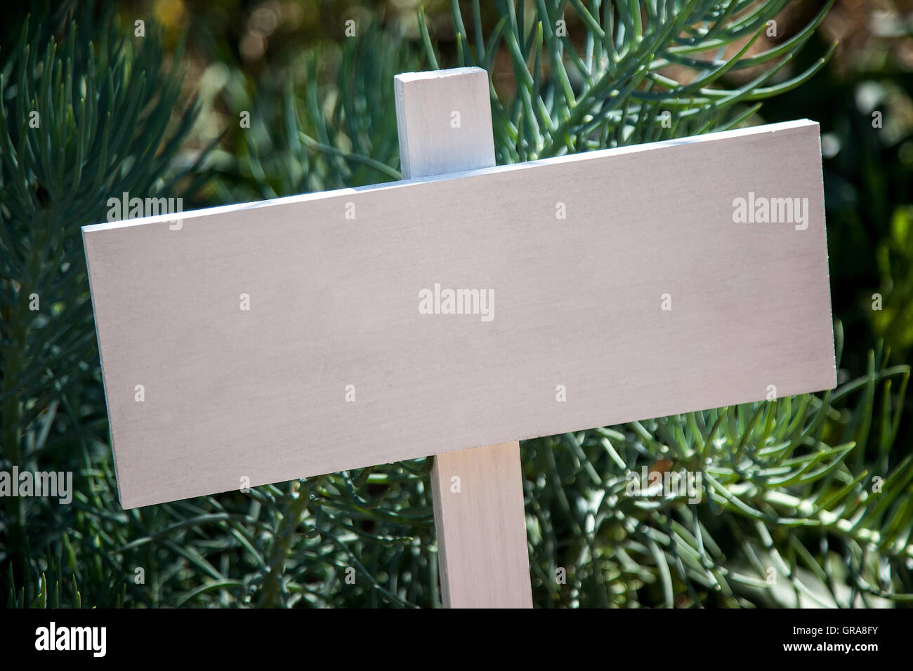 Blank white wooden sign Stock Photo - Alamy