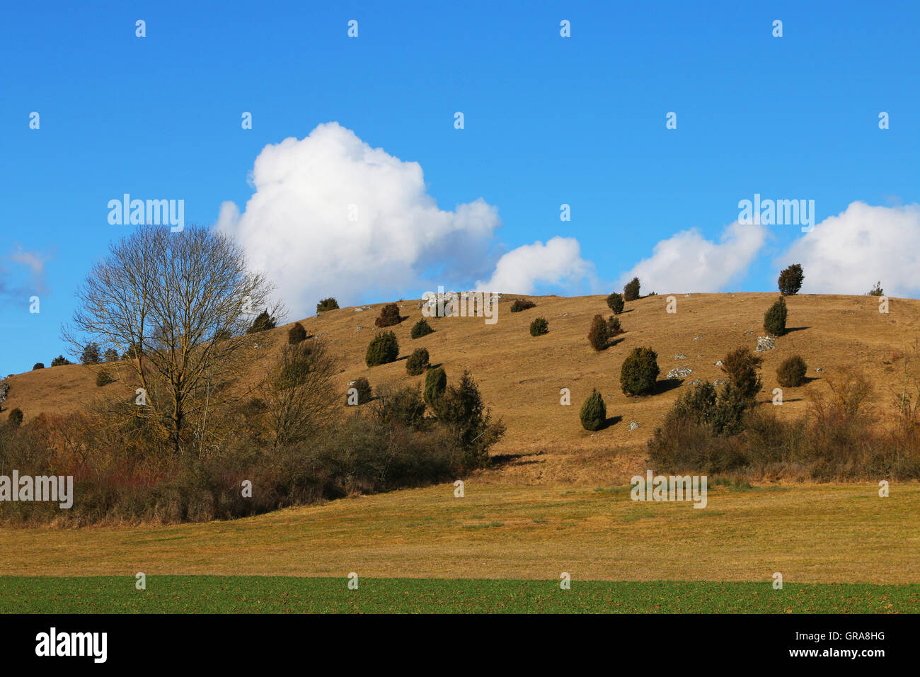 The alb hi-res stock photography and images - Alamy
