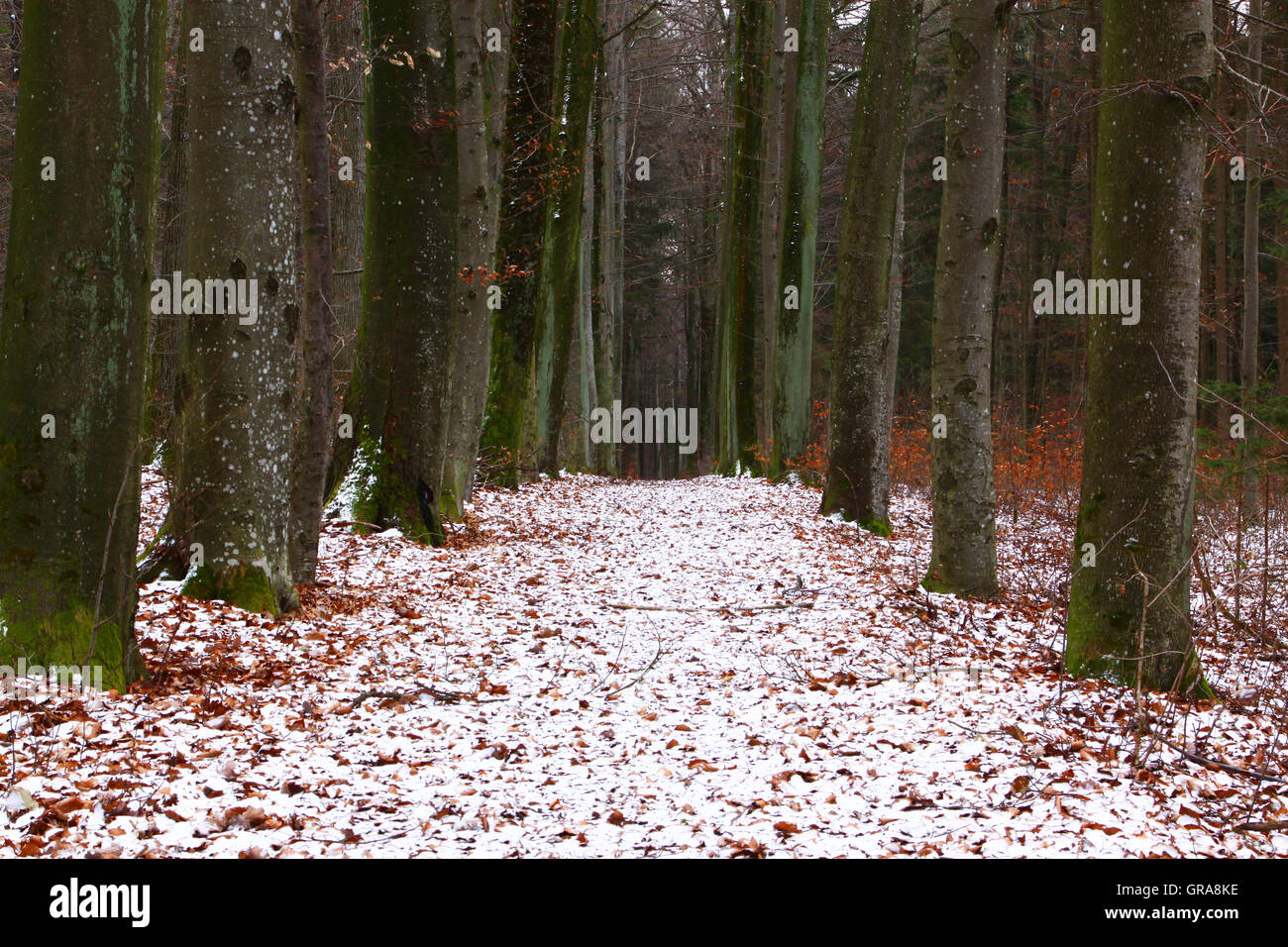 Snowfield hi-res stock photography and images - Alamy