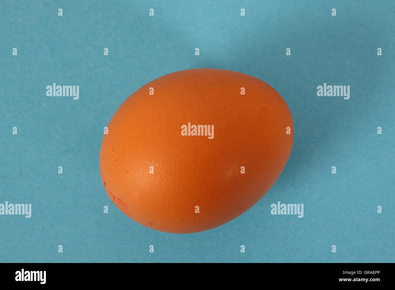 Egg brooding hi-res stock photography and images - Alamy