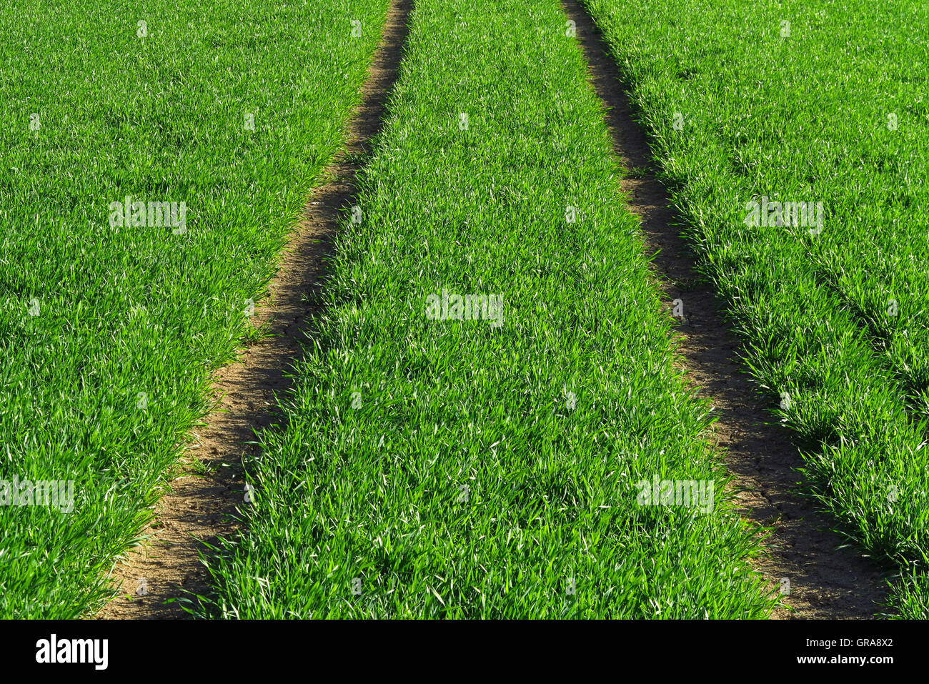 Time traces hi-res stock photography and images - Alamy