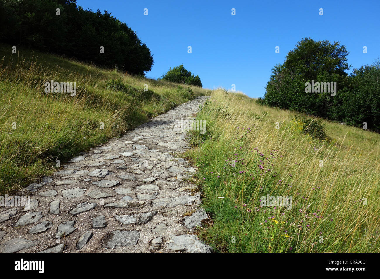 Stone path in the mountains Stock Photo - Alamy