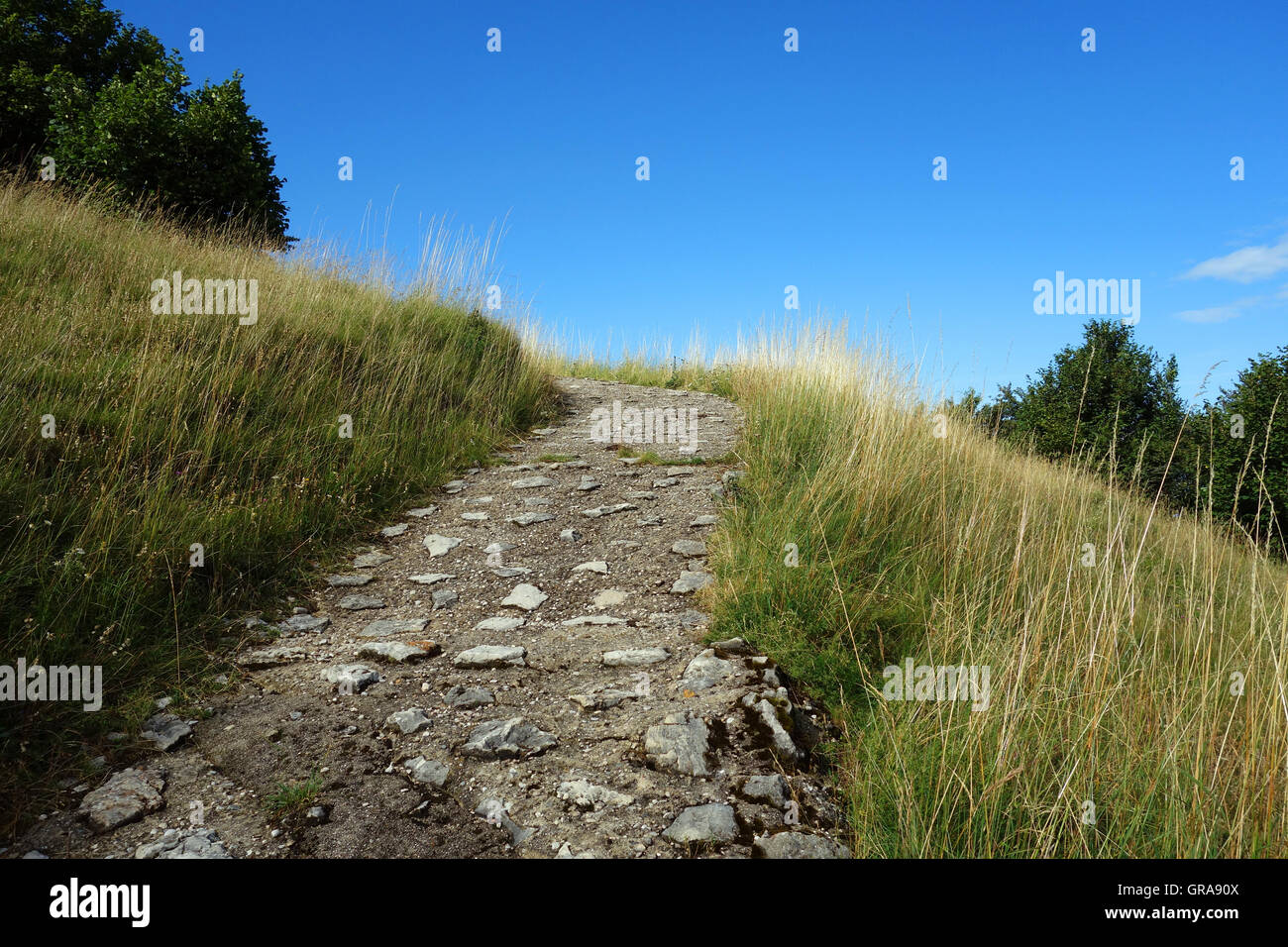 Stone path in the mountains Stock Photo - Alamy