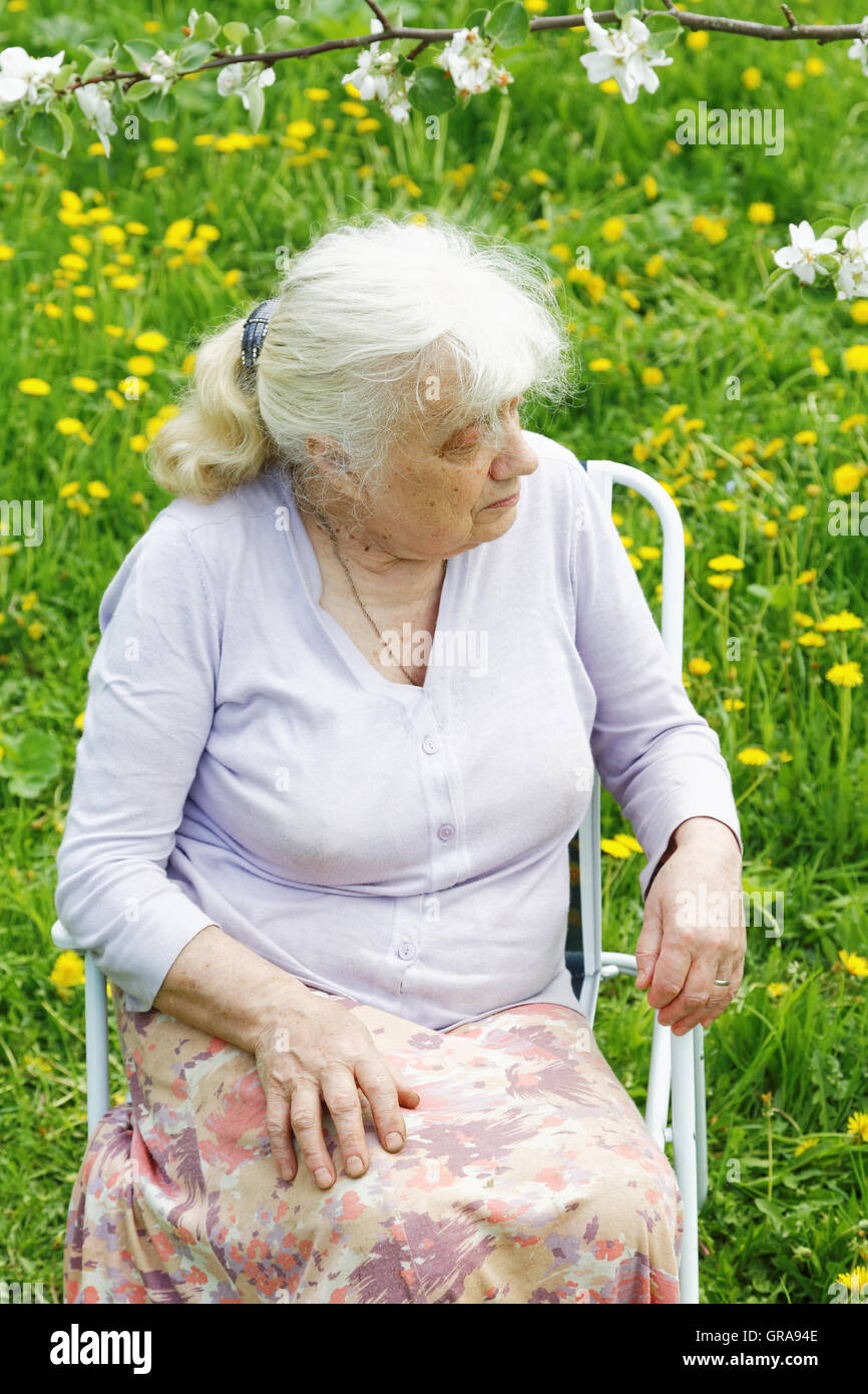 The grandmother in garden under a blossoming apple-tree Stock Photo - Alamy
