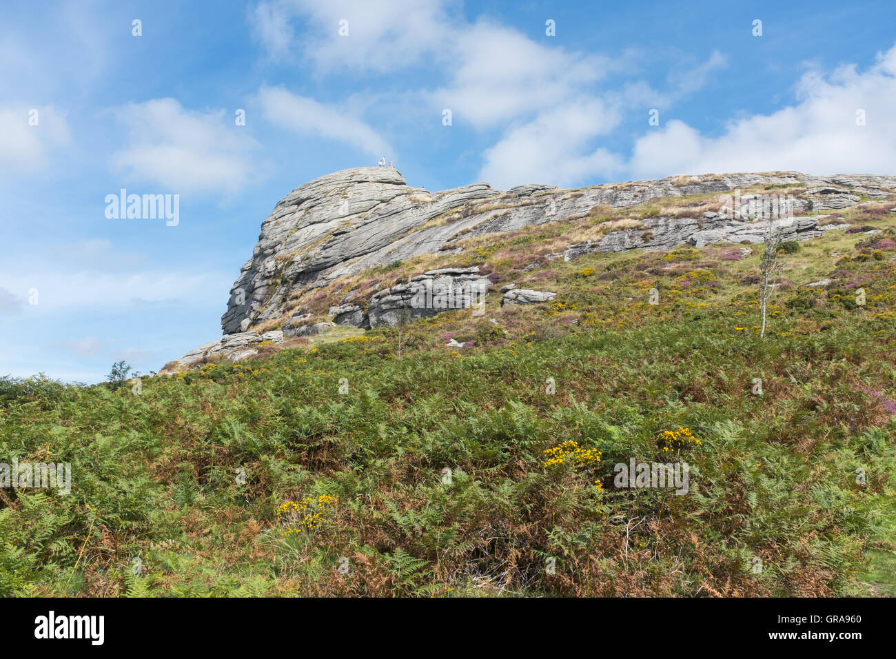 Haytor Rock is a granite tor on eastern Dartmoor National Park, Devon ...