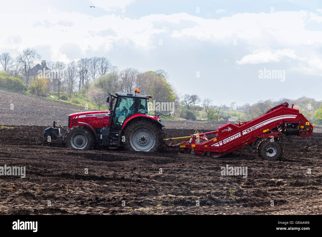Destoning field for potatoes Stock Photo - Alamy