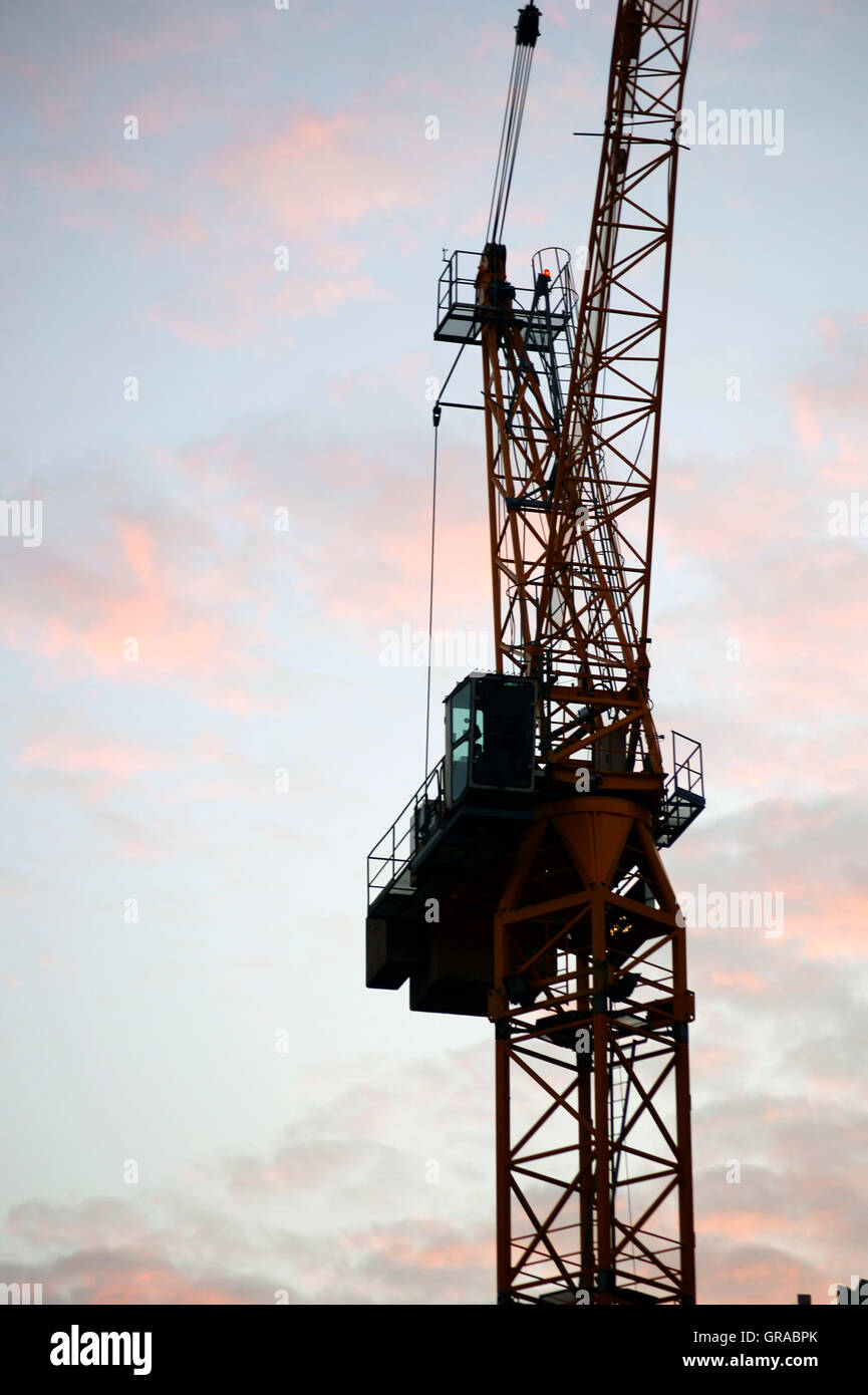 Crane In The Sunset Stock Photo - Alamy