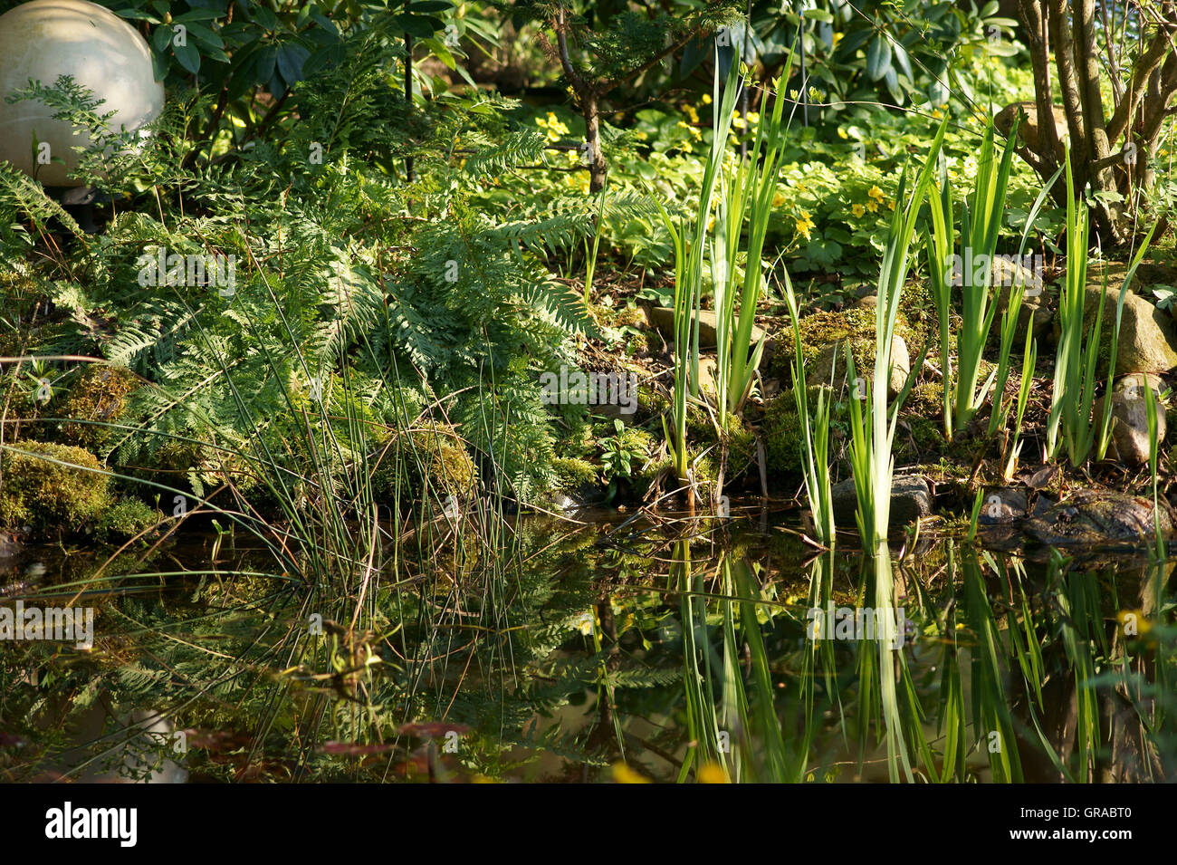 Abstract Reflection In The Pond Stock Photo - Alamy