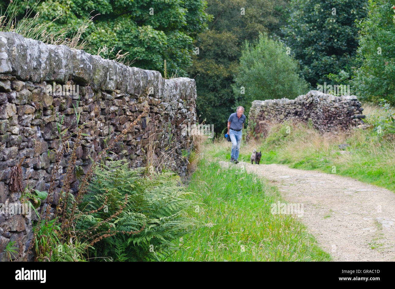Traditional dry stone wall in West Yorkshire, UK, landscape Stock Photo ...