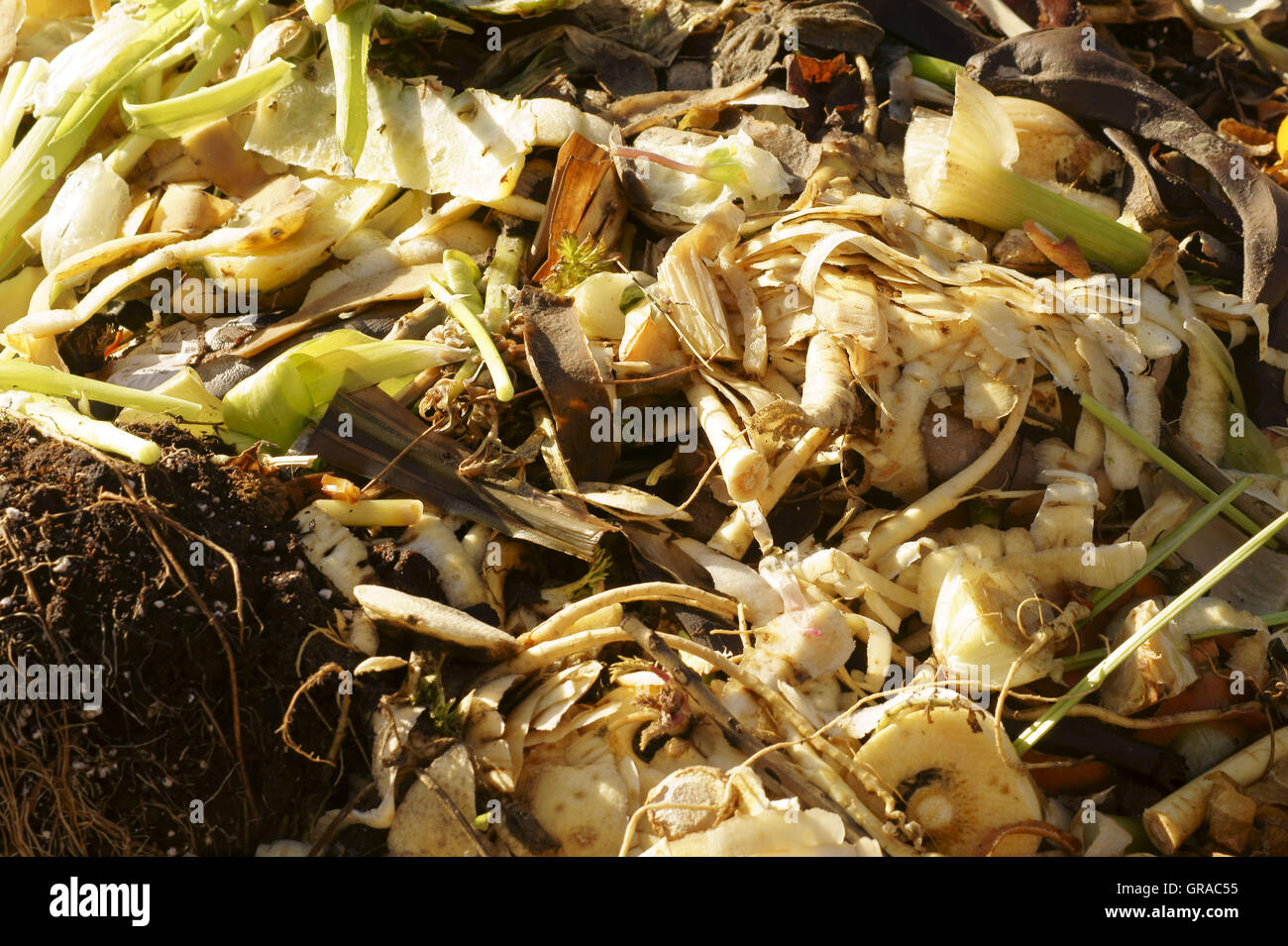 Biowaste light hi-res stock photography and images - Alamy