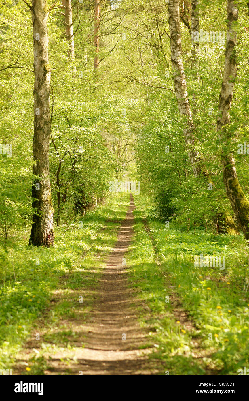 Schmaler weg hi-res stock photography and images - Alamy