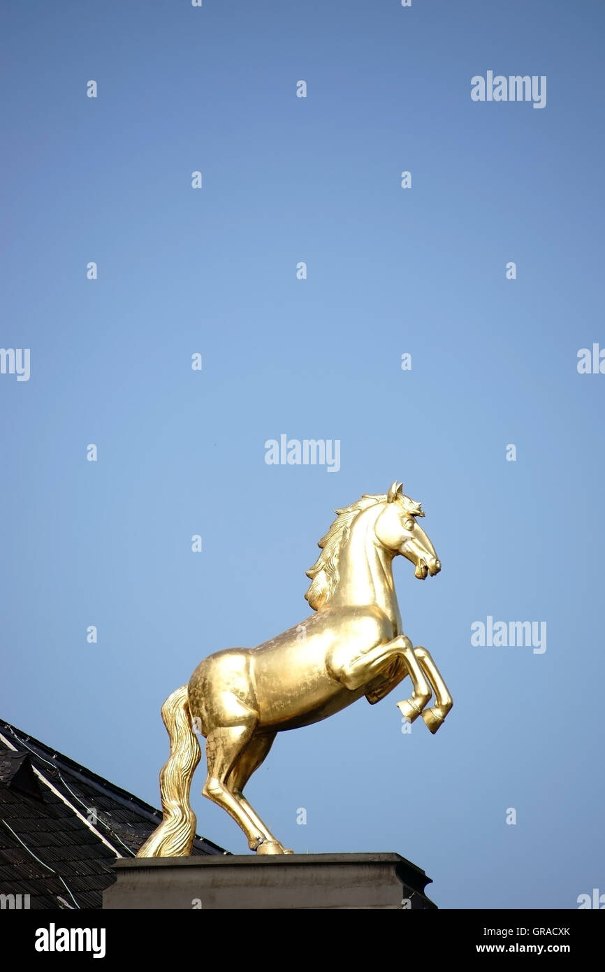 Ross case hi-res stock photography and images - Alamy