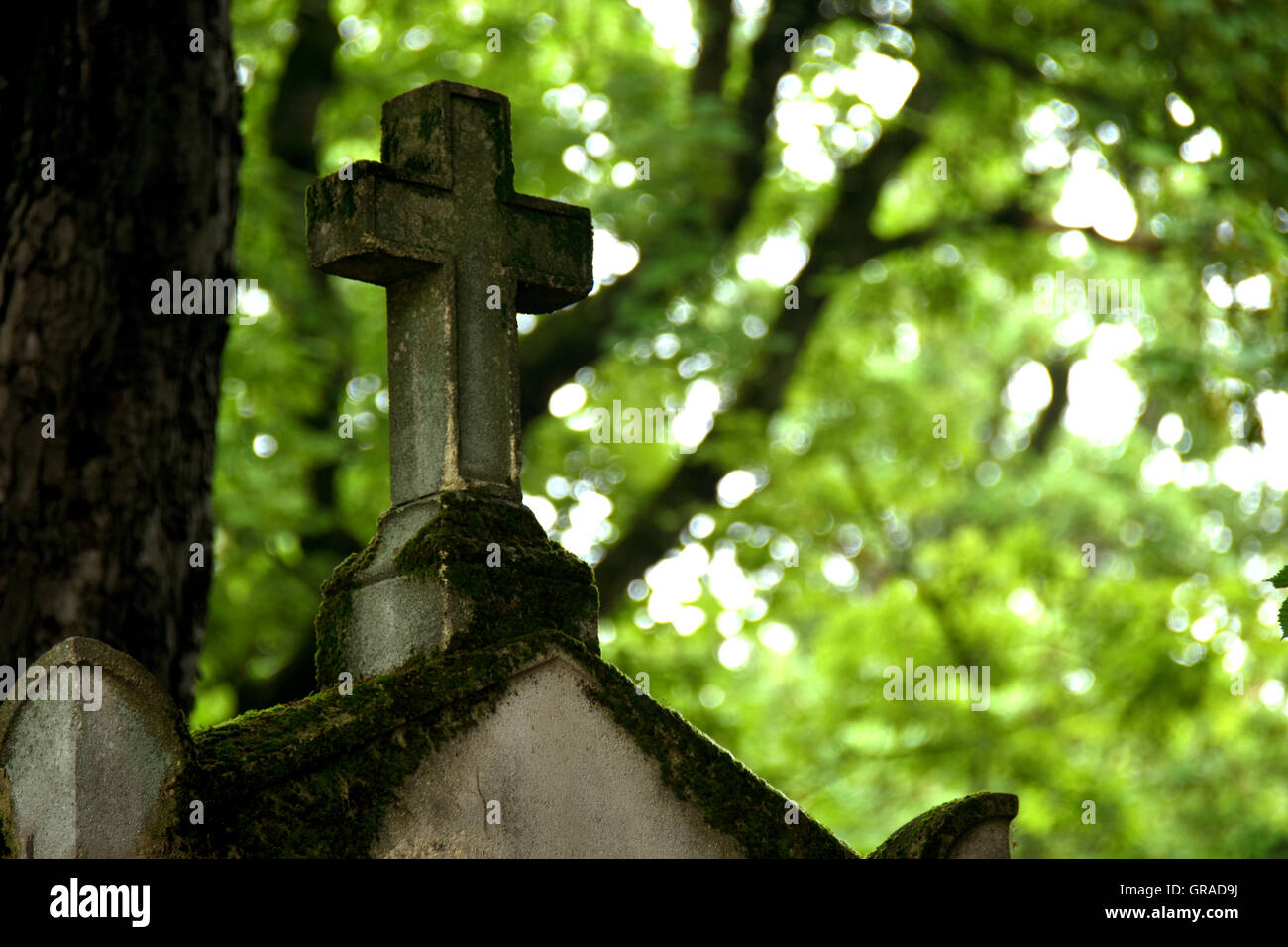 Tomb cemetery hi-res stock photography and images - Alamy